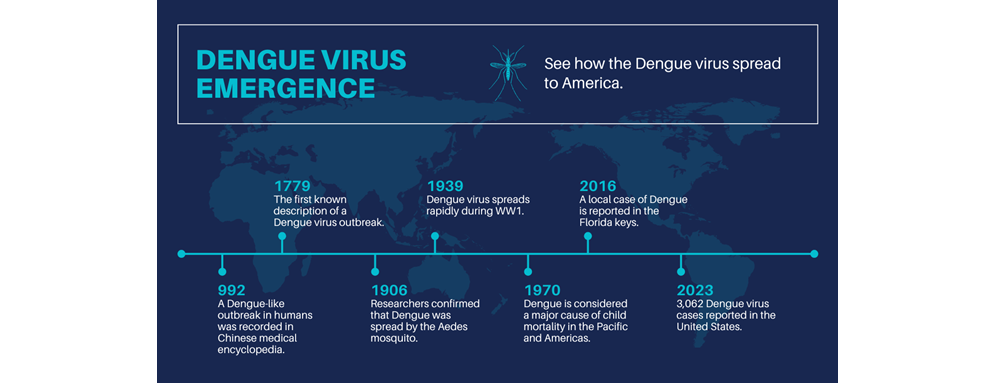 Dengue Fever
